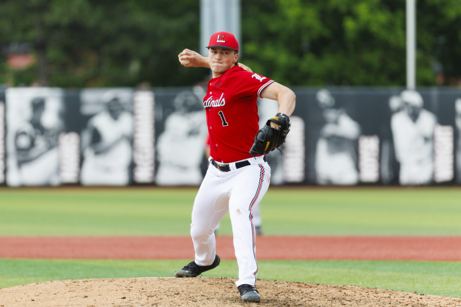 Patrick Forbes finds stardom on the mound - Baseball Prospect Journal